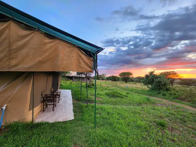 Ang’ata Ndutu Camp - Explorando Ndutu African Safari
