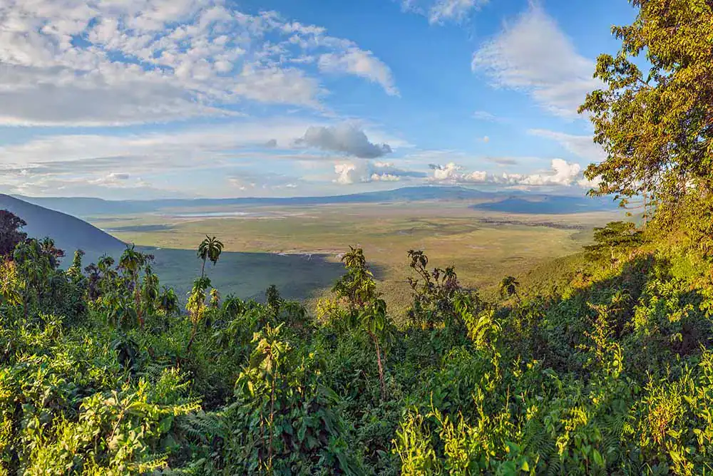 Parque Nacional Ibanda-Kyerwa: Naturaleza y Tranquilidad en Tanzania